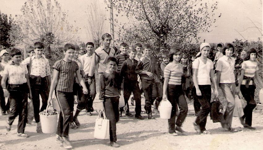 A BUBUIT GHIULEAUA – Pasiuni